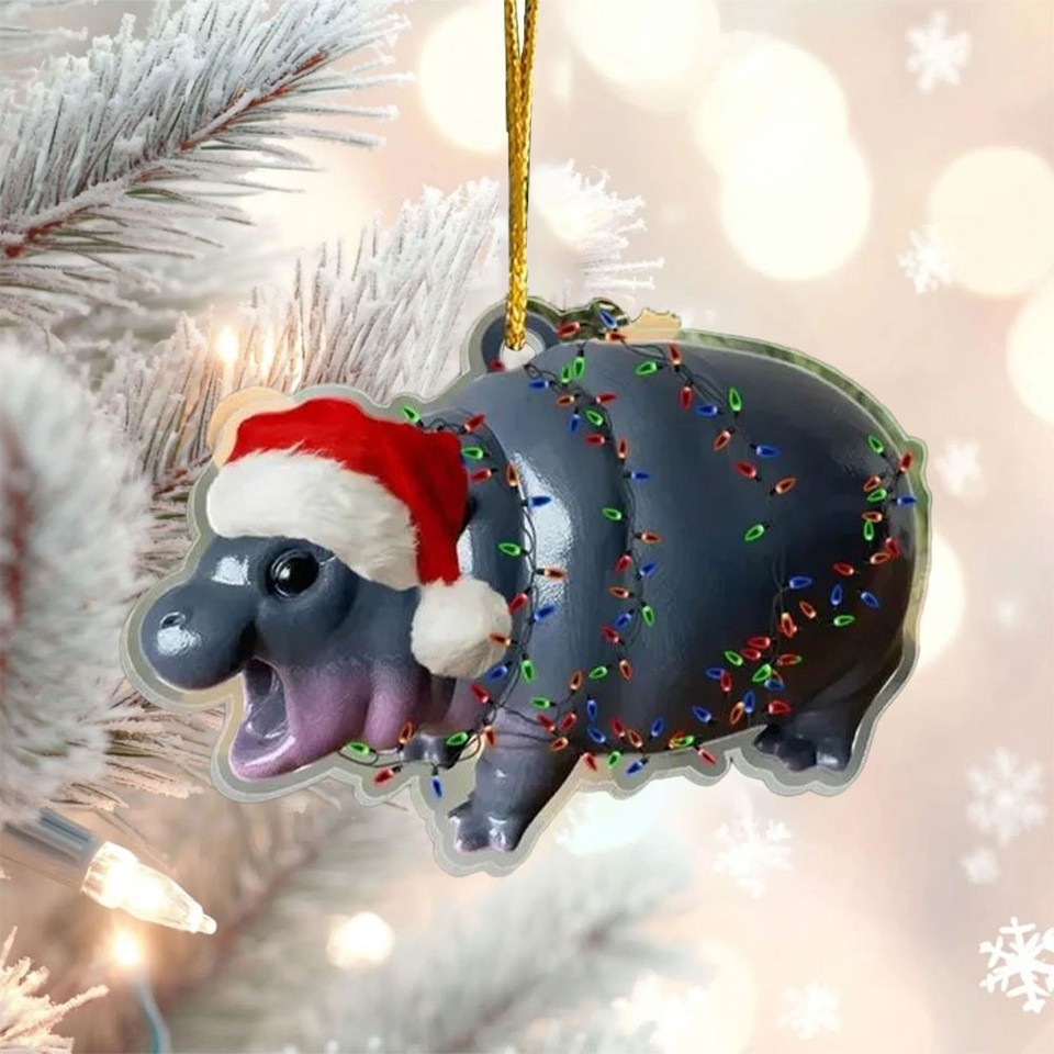 2D Moo Deng Home Furnishing Decoration Charm,Moo Deng Hippo,Moo Deng Toy OY | eBay