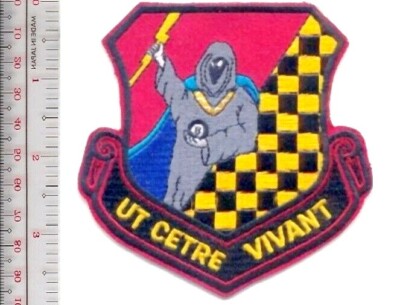 US Civil Air Patrol CAP Advanced Ground Team Training Group 8 NO TARIFF ...