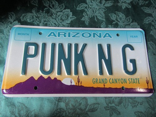 Vintage Embossed Arizona Desert Vanity License Plate PUNK N G, No Good ...