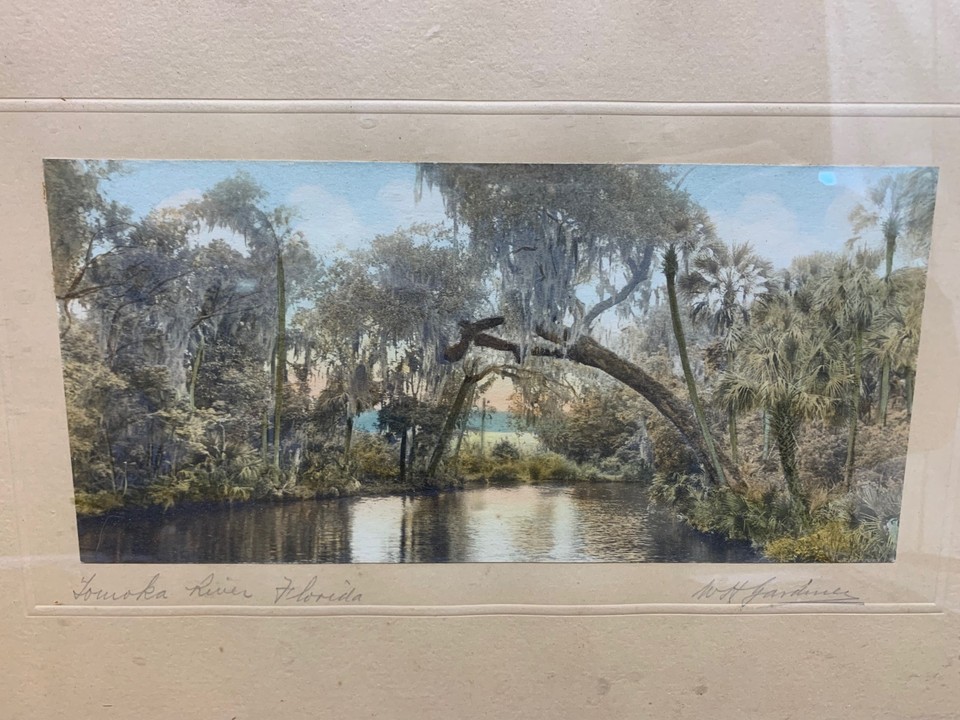 Antique 1800s Tomoka River, Florida Hand-Tinted Photograph by William ...