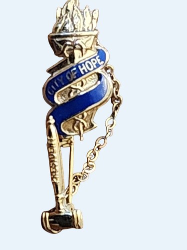 City Of Hope President Lapel Pin Torch & Gavel Gold Tone w Blue Enamel ...