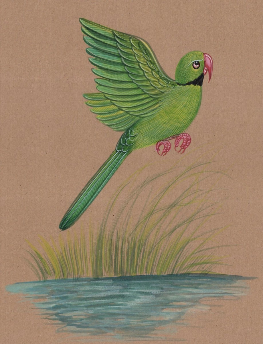 Indian Parrot Painting