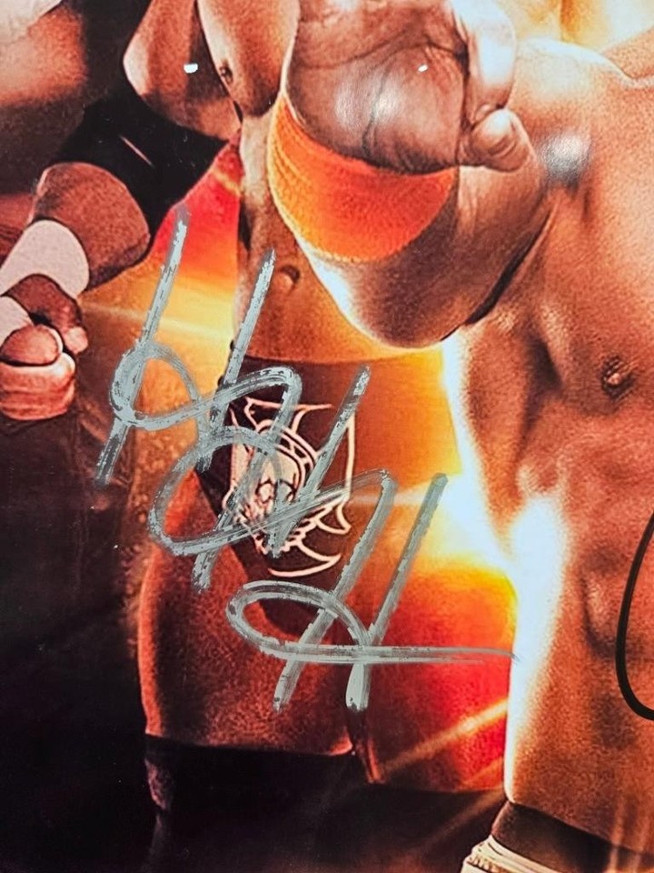 TRIPLE H HHH JOHN CENA DUAL HAND SIGNED AUTOGRAPH 11X17 WRESTLEMANIA ...