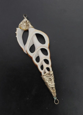 Center Cut Tibia Seashell silver wrapped 5" | eBay