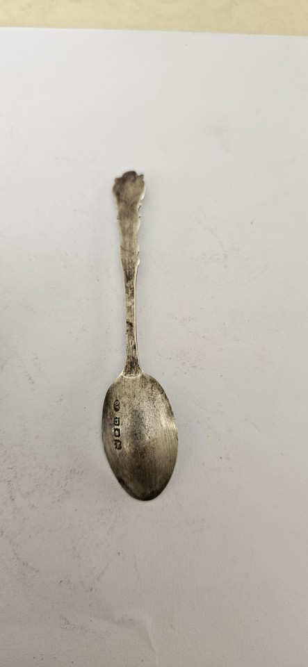 Silver Spoon | eBay UK