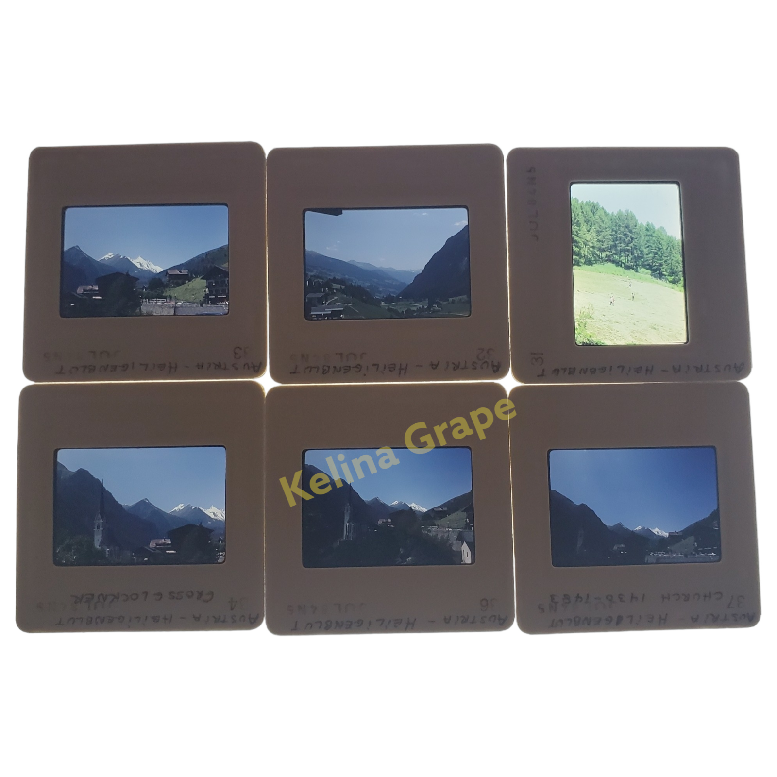 5/Lot 1980s Horses Piber Austria 35mm Film Slide Corralling Stampede ...