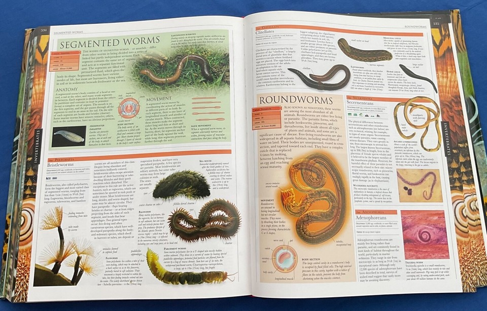 2001 DK ANIMAL THE DEFINITIVE VISUAL GUIDE TO THE WORLD'S WILDLIFE ...