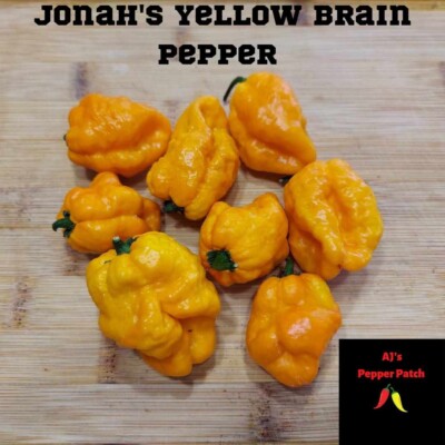 15 Jonah's Yellow Brain Pepper Seeds | eBay
