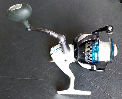 Spinning - Salt Striker