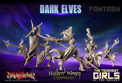 Raging Heroes Dark Elves Halberd Women Command Group Female Fantasy ...