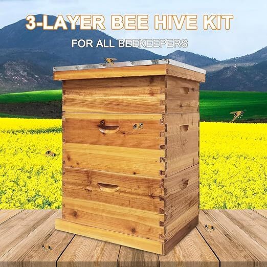 Langstroth Beehive 3 layer Beehive Bee Hive 2 Deep 1 Medium Kit Without Frames | eBay