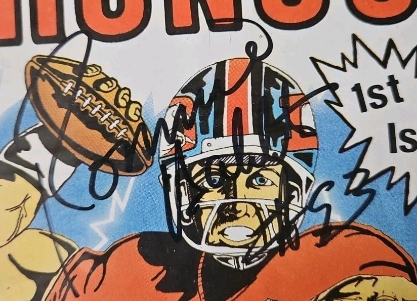 Sports Comic Book Lot Of 6 CU Nolan Ozzie Babe Ruth Ted Williams ...