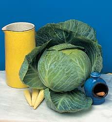 Cabbage Charmant 250 seeds | eBay