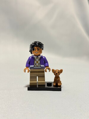 LEGO 21302 Big Bang Theory Minifigure RAJ W/ Stand FREE SHIPPING | eBay