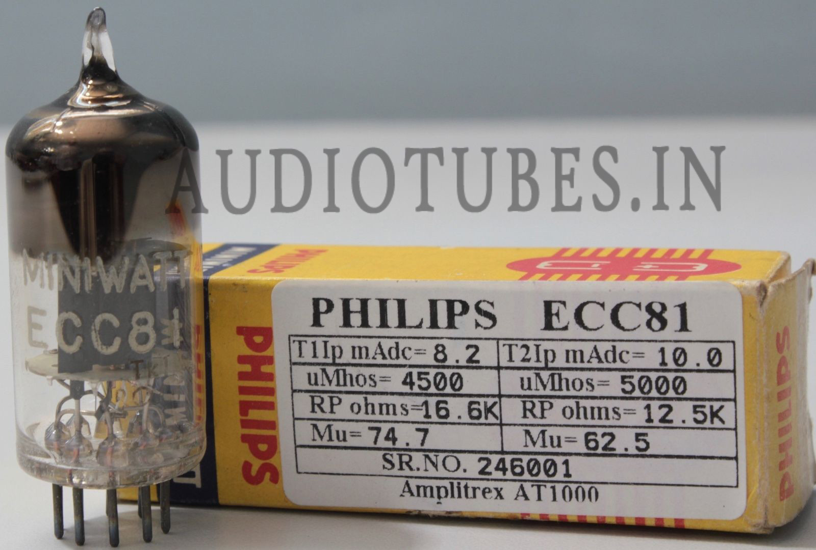 ECC81 12AT7 Philips Miniwatt Grey Plate Made in Holland Amplitrex ...