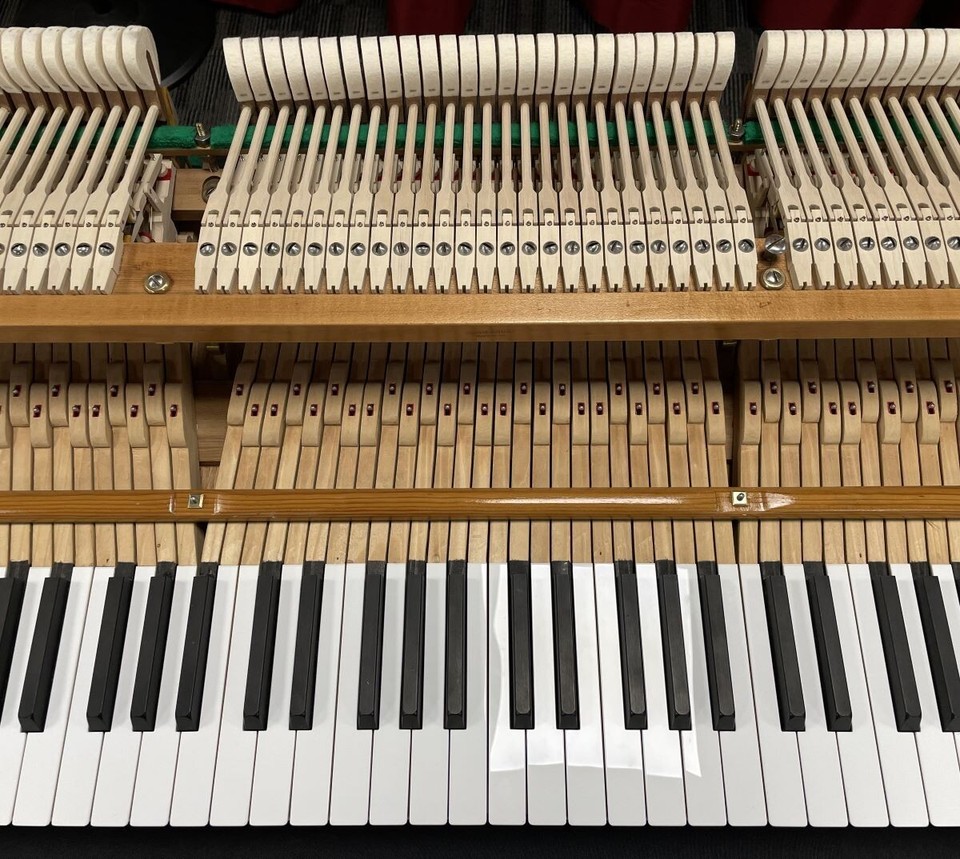 Bechstein B 6'8" Grand Piano Picarzo Pianos Walnut Accents ($180K ...