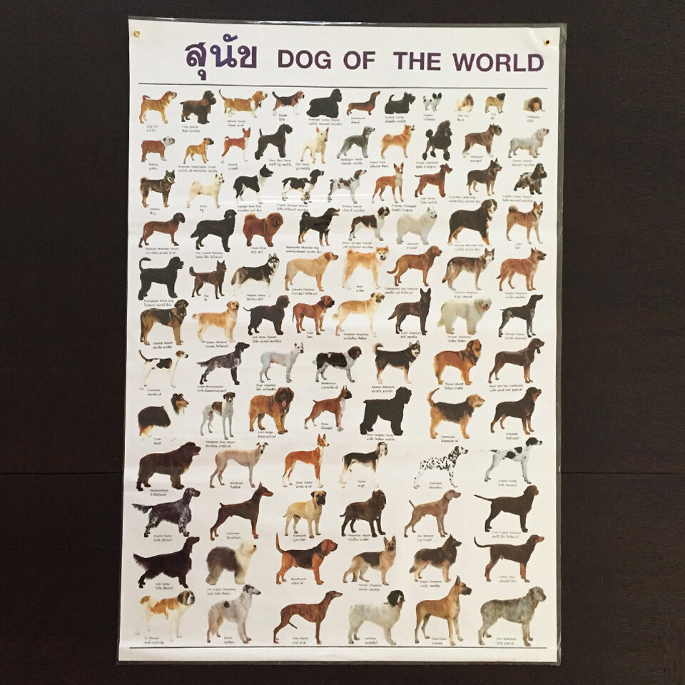 Guide To Purebred Dogs Poster