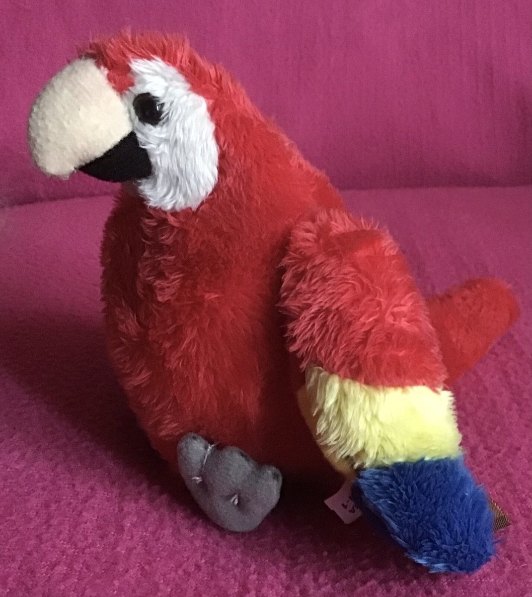 Scarlet Macaw Parrot 4 5 Types Of Macaw