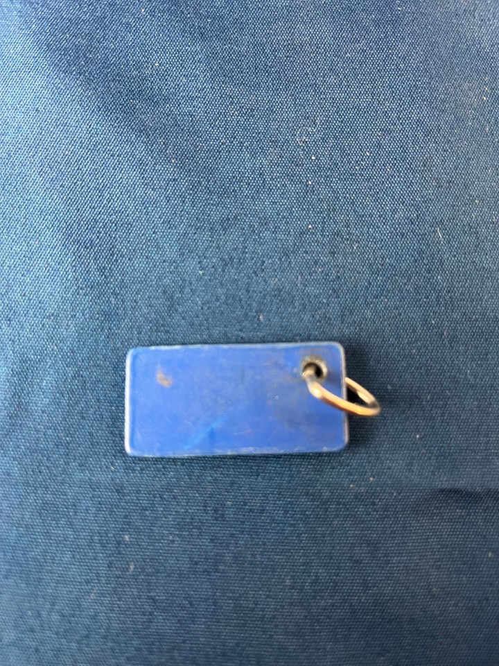 KEYCHAIN Alaska License Plate KARA Plastic Key Chain | eBay