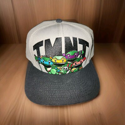 Teenage Mutant Ninja Turtles Hat Cap Snap Back Gray/Multi Party Time ...