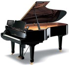 Classical Solo Piano Wedding Music for Pianodisc PDS128/228 on 2 Floppy ...