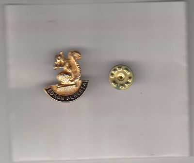 Canada-Hanna-Alberta-Canada Goose-[Hanna Town Pin Badge]-Badge | eBay