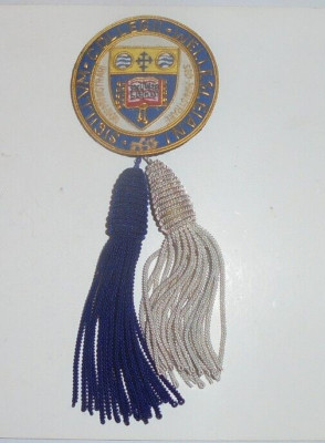 Wellesley College School Graduation Alumni Reunion Class Stole Gown ...