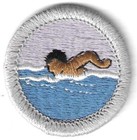 BSA SWIMMING MERIT BADGE CURRENT DESIGN TYPE H PLASTIC BACK #2 LIGHTER ...