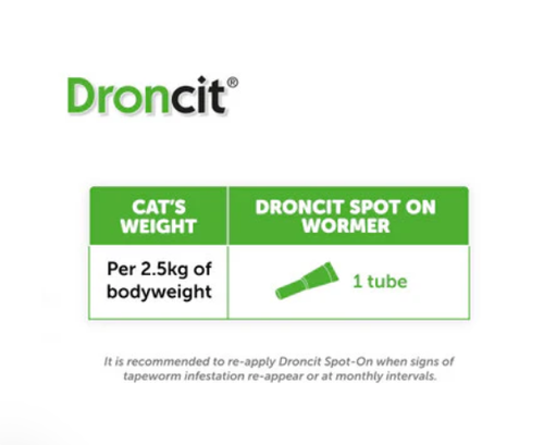 Droncit Spot On Cat Wormer Tapeworm Worming Treatment Pack of 4 Tubes ...
