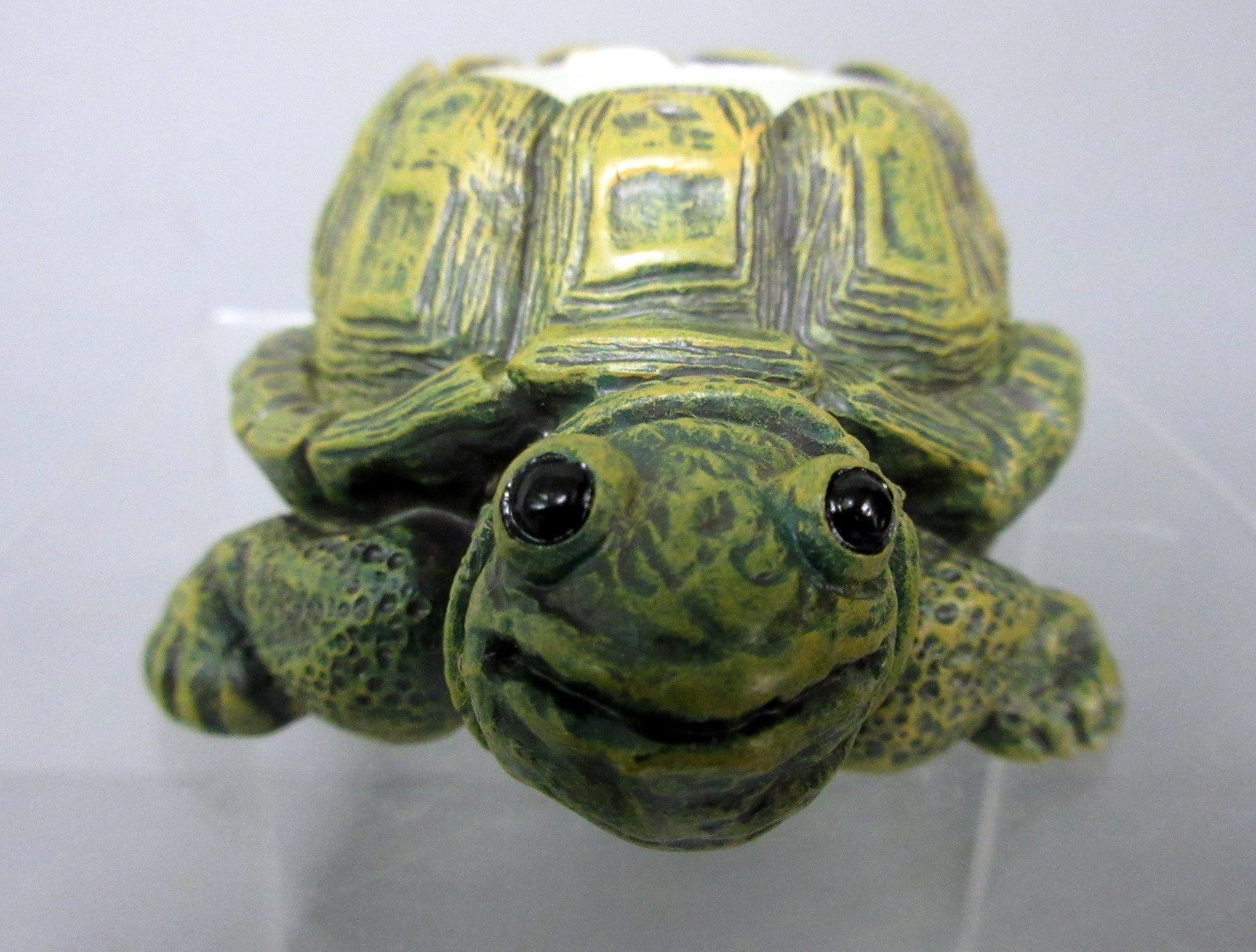 New Green Turtle Shaped Candle Holder Votive Figurine Candles Turtles ...