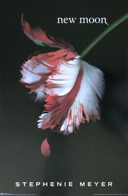 New Moon by Stephanie Meyer Book Cover Poster 22 x 34 | eBay