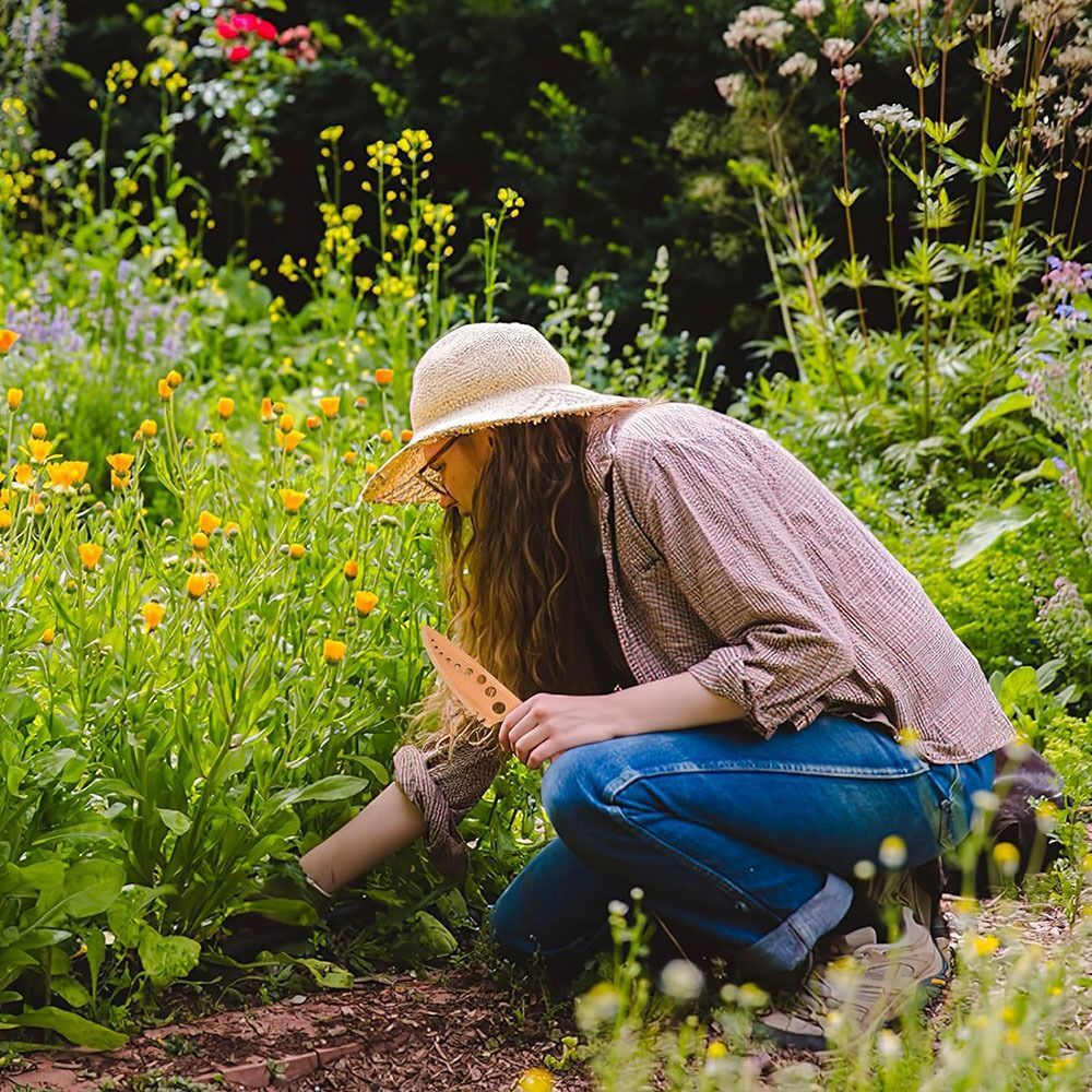 Kitchen Supplies Herb Stripping Tool Multi-Functional Leaves Cutter | eBay