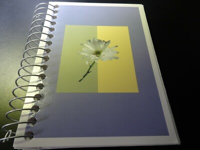 Mead Fat Lil' Notebook, College Ruled, Perforated, 5-1/2"X4", Fashion ...