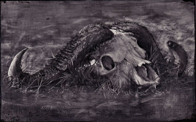 Buffalo skull drawing | Realism | Graphite and Ink on Claybord | art ...