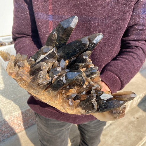 7LB Natural Smoky Black Quartz Cluster Crystal Specimen Healing | eBay