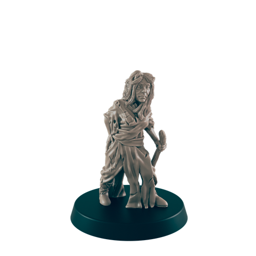 Elf Mini | Destitute & Homeless | Female Townsfolk NPC Figure | DnD ...