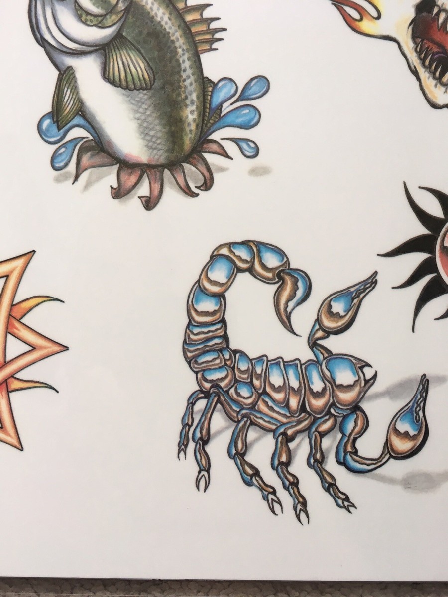 Skull Scorpion Flash