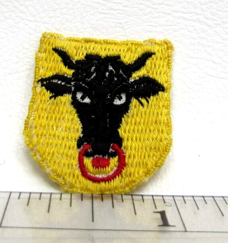 Vintage Uri Coat of Arms Patch Swiss Canton Switzerland 1960's Small ...