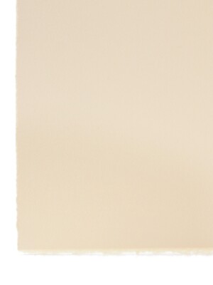 Arches Cover Printmaking Paper | eBay