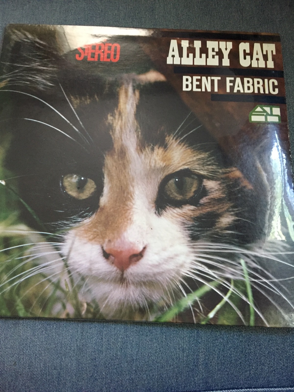 Bent Fabric Alley Cat Vintage Pop Rock Music Vinyl LP 1962 | eBay
