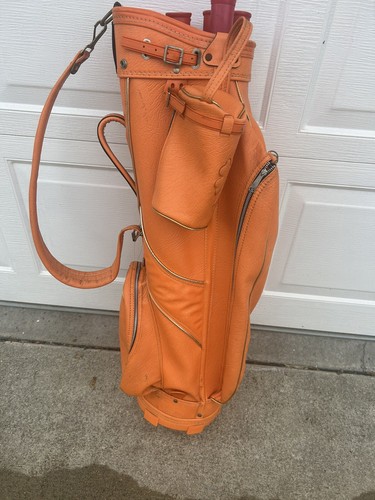Vintage Nice Orange Ajay Richard Milton Leather Like Vinyl Cart/Carry ...