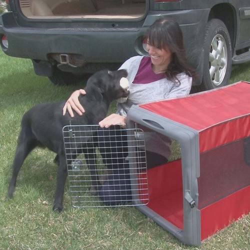SportPet Travel Pop-up Crate for Dogs, Collapsible, Pop-up & Light ...
