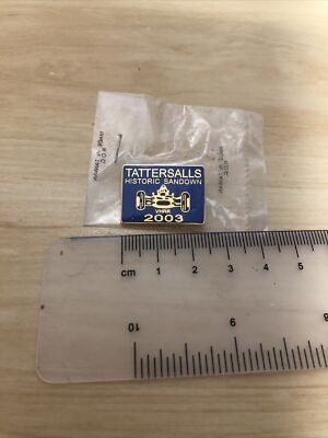 2003 Tattersalls Historic Sandown VHRR Motor Racing Badge Pin | eBay ...