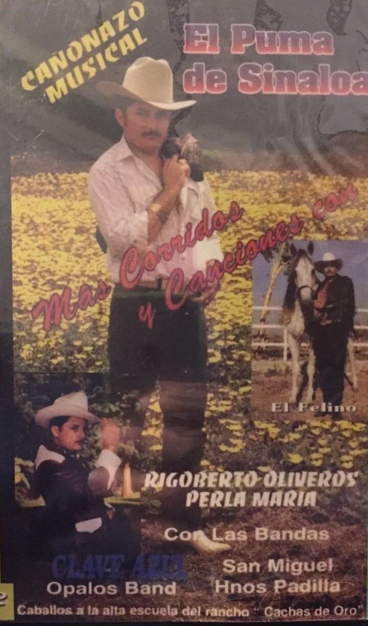 El Puma de Sinaloa (Canonazo Musical DVD) Brand-New/Factory-Sealed ...