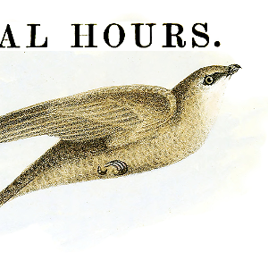 Rural Hours | eBay Stores