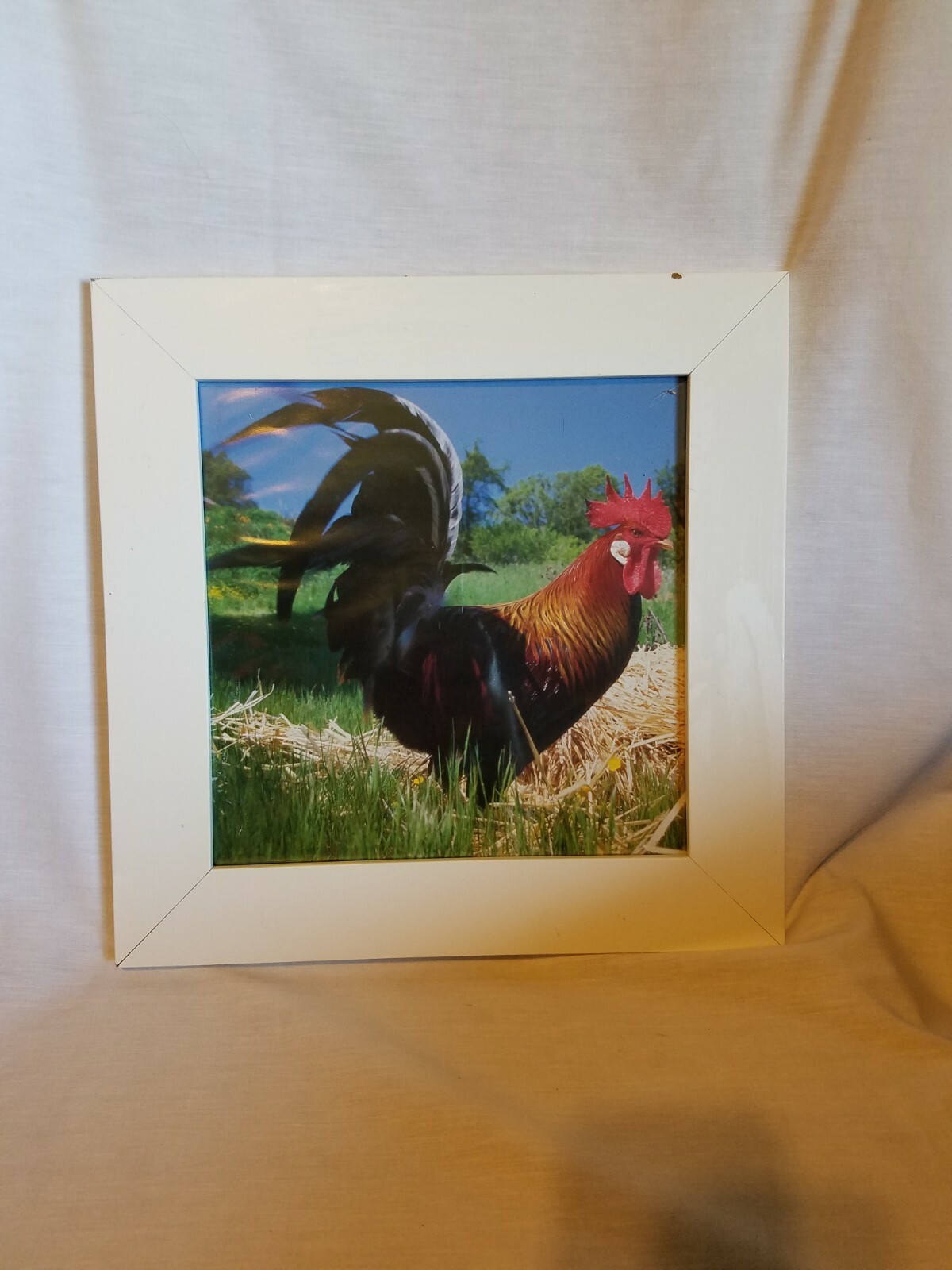 Colorful framed rooster print picture wall hanging | eBay