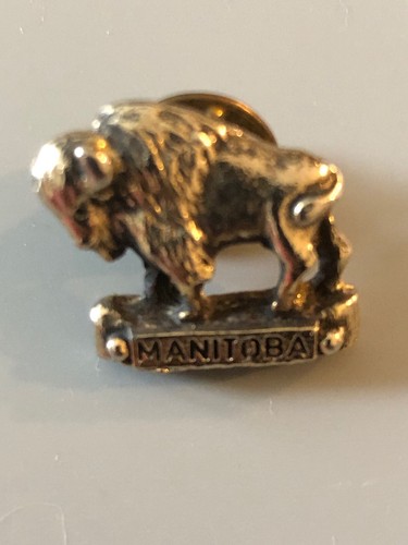 Vintage Manitoba Canada Bison / Buffalo Souvenir Pin | eBay
