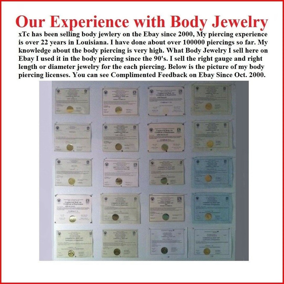 TINY TINY (Only 1mm) SMALLEST GEM 20g 316L Stainless Steel Nose "L ...