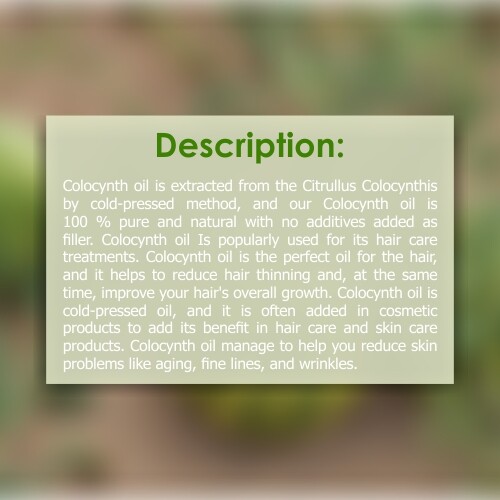 Colocynth (Citrullus colocynth) 100% Pure & Natural Essential oil ...