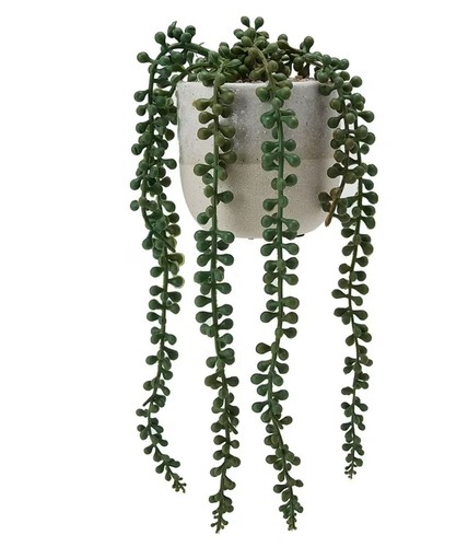 New Artificial String Of Pearls Plant In Pot-Pot:9.3cm (H) x 10cm (Dia ...